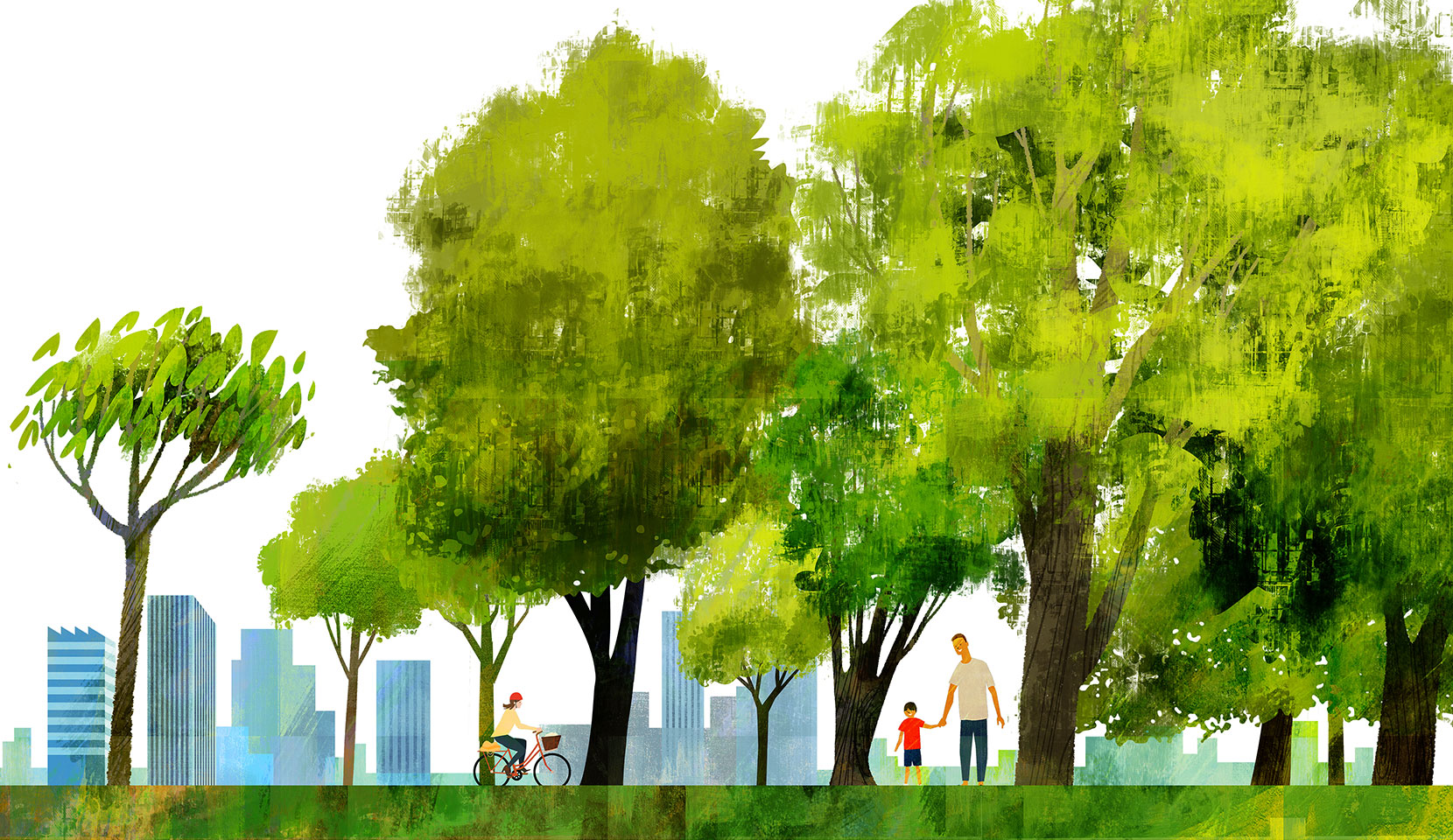 A sustainable solution - planting native Irish trees to create ...